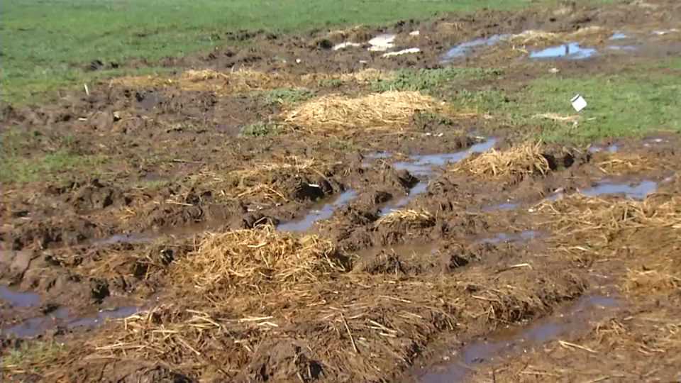 Muddy Mess Left at San Jose’s Discovery Meadow Park After Free Concerts ...