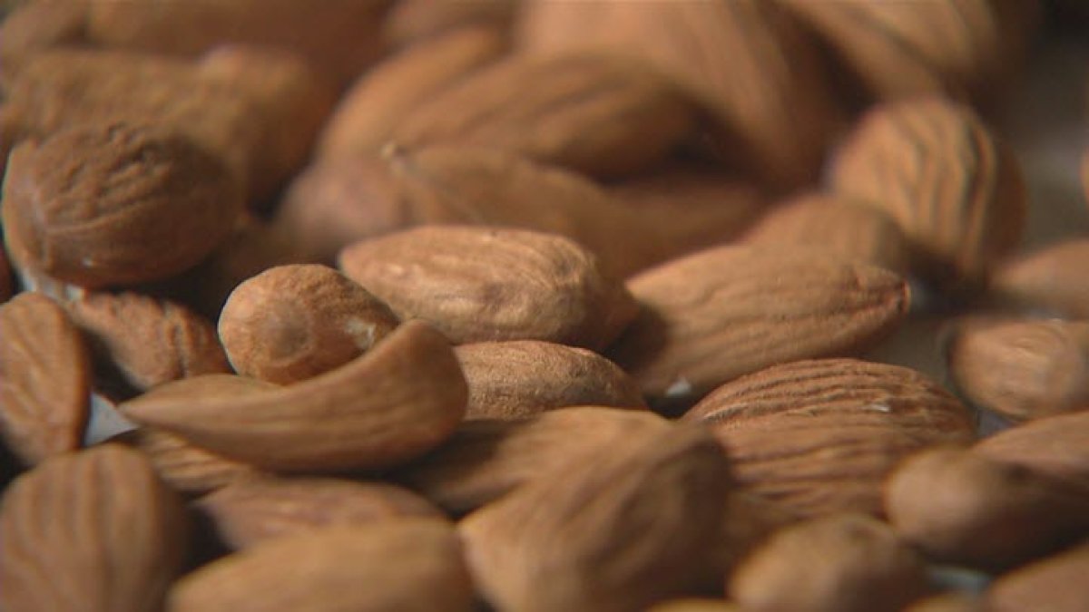 New tariffs could hit California almond exports – NBC Bay Area