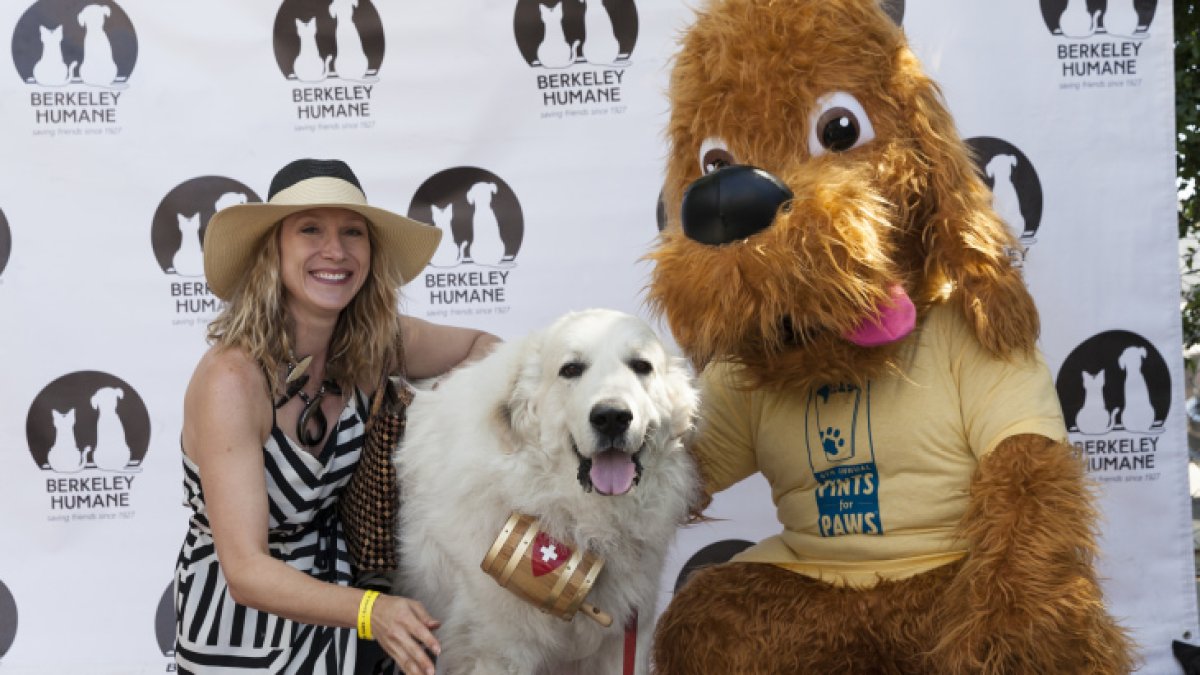 Berkeley Humane Presents Pints for Paws – NBC Bay Area