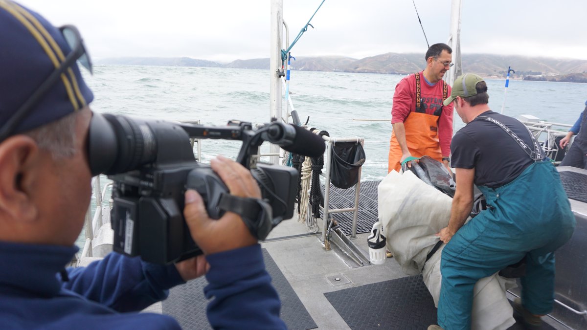 Behind the Scenes: Our Trip Out to Sea – NBC Bay Area
