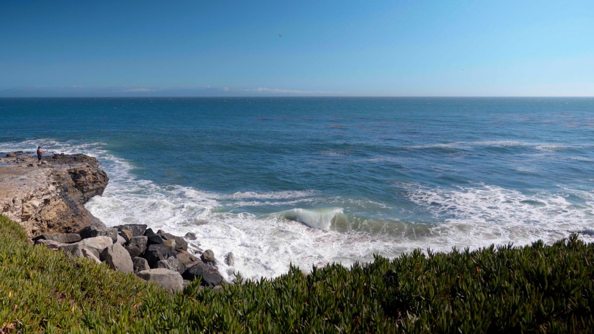 Pacific Marine Heat Wave ‘The Blob’ May Return – NBC Bay Area