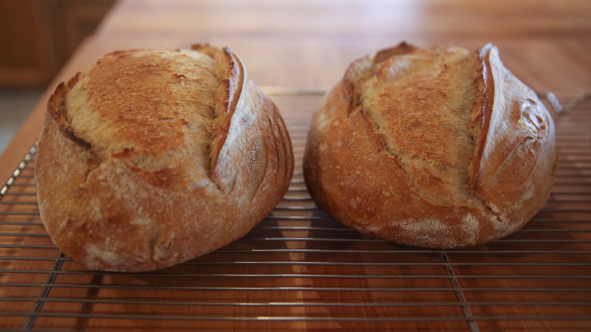 Bread Baking’s New Boom – NBC Bay Area