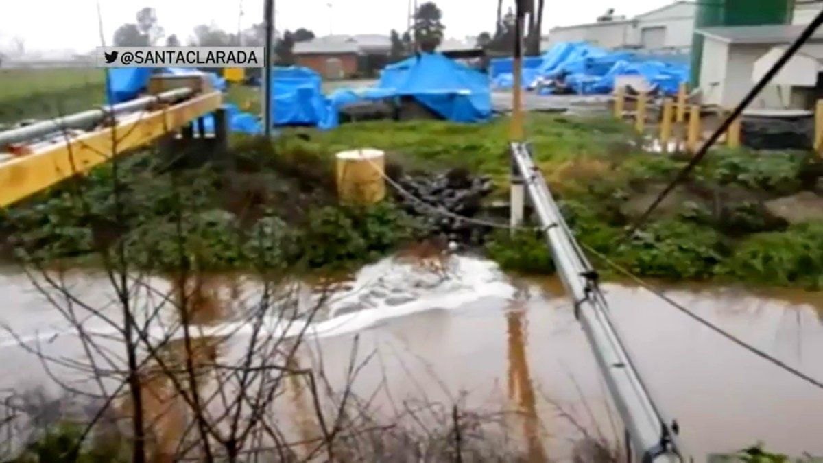 Monterey Mushrooms Settles for Over $2M in Water Pollution Case – NBC ...