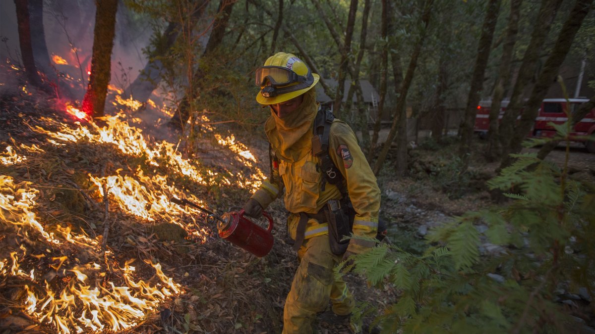 California Encourages Prescribed Burns to Counter Wildfires – NBC Bay Area