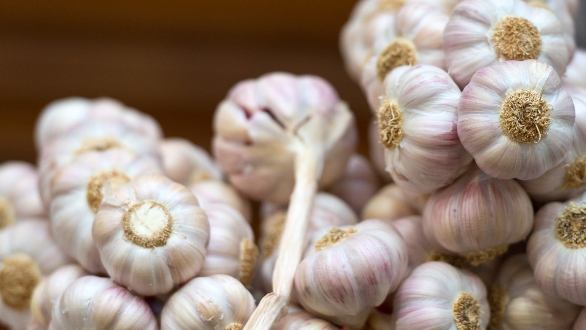 Gilroy’s Garlic Giant ‘Outraged’ Over Claims in New Netflix Series ...