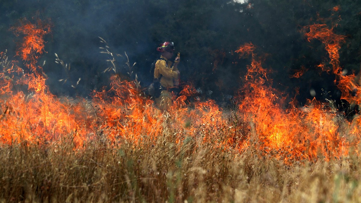 Mendocino County Wildfires: 1 Firefighter Killed, 1 Hurt in August ...