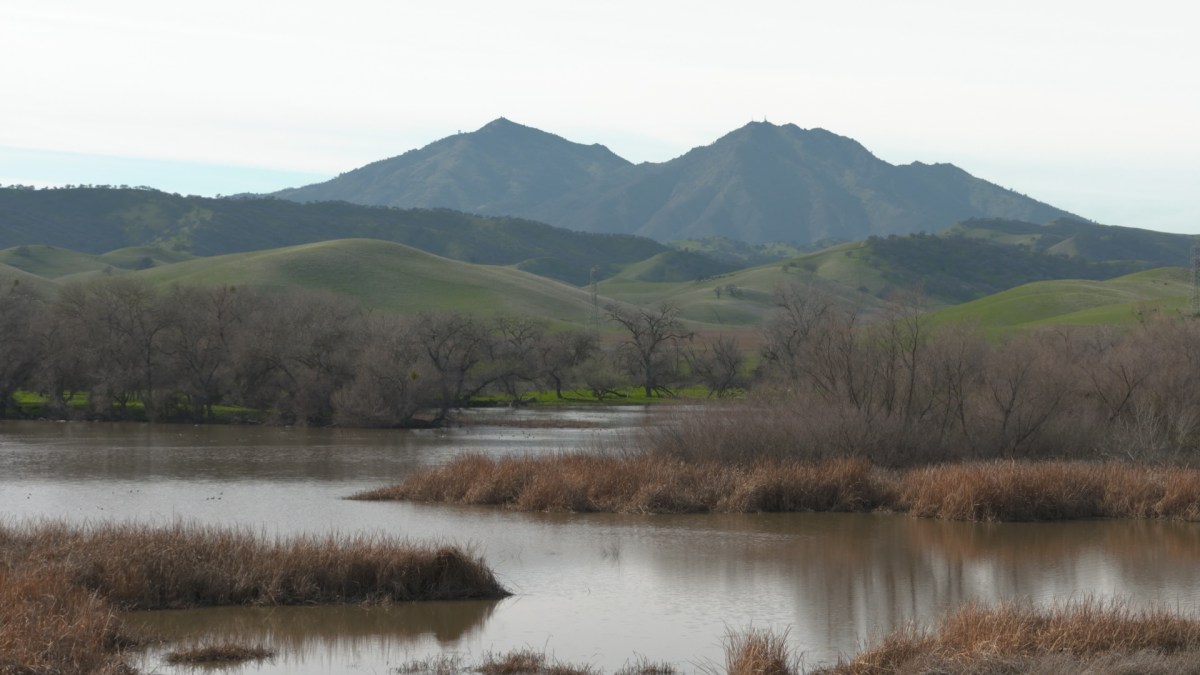 Marsh Creek Watershed – NBC Bay Area