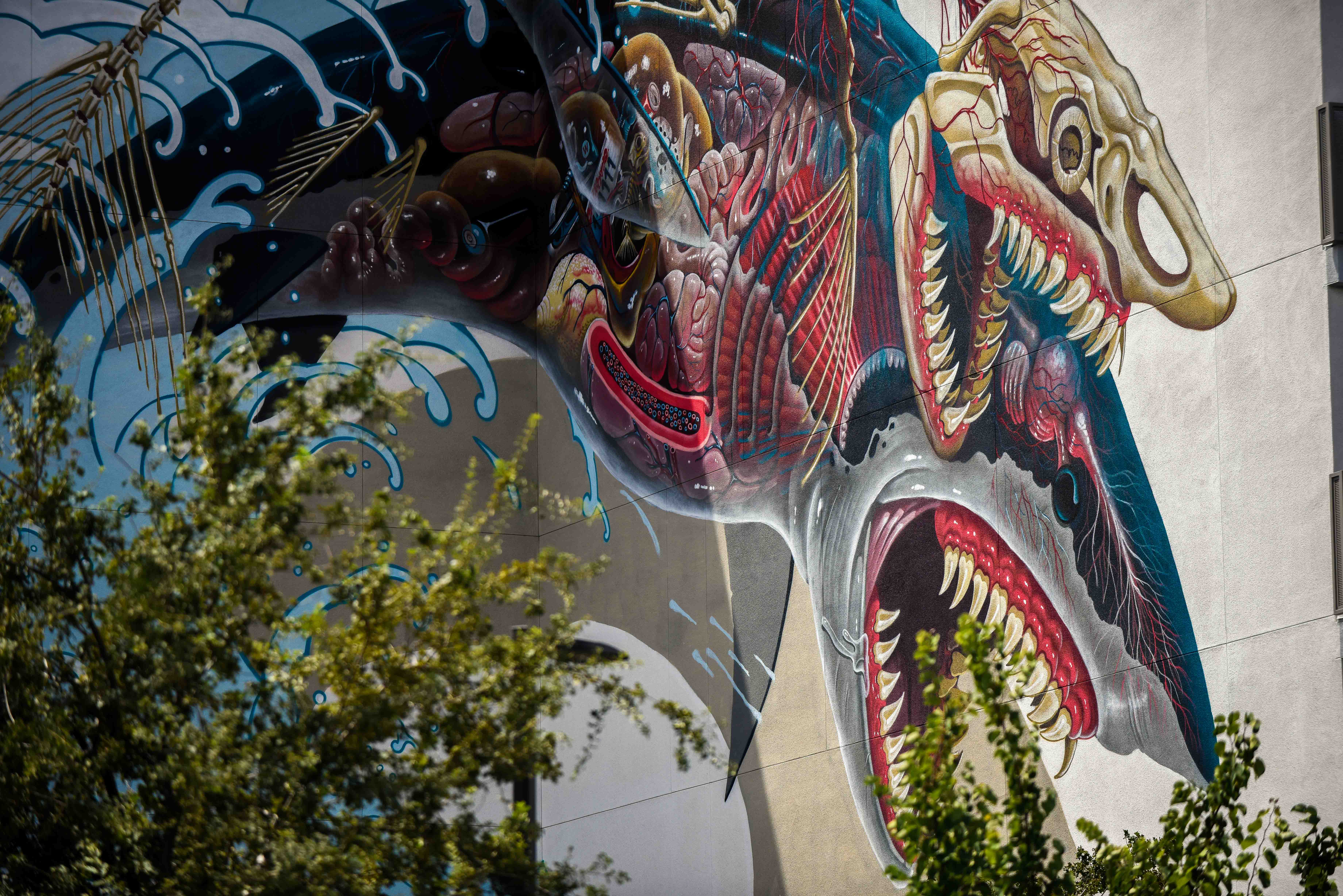 This is Sharks Territory: San Jose Celebrates the Sharks with Jaw ...