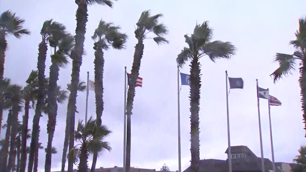 Wind Watch Upgraded to High Wind Advisory for Much of Bay Area – NBC ...