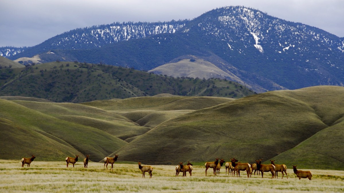 The Wildlands Conservancy – NBC Bay Area