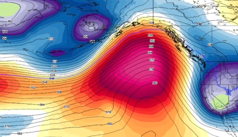 Weather Discussion: The Science Behind Marine Heat Waves – NBC Bay Area