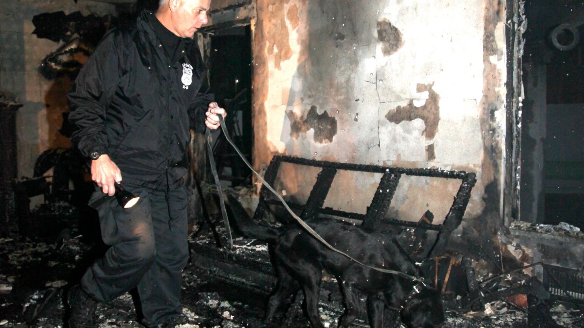 LAFD Announces Death of Retired Arson Detection Dog – NBC Bay Area