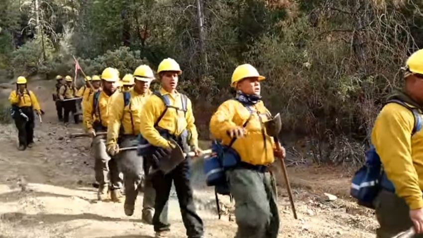 Watch: Samoan Singing Fire Crew Video in Shasta-Trinity National Forest ...