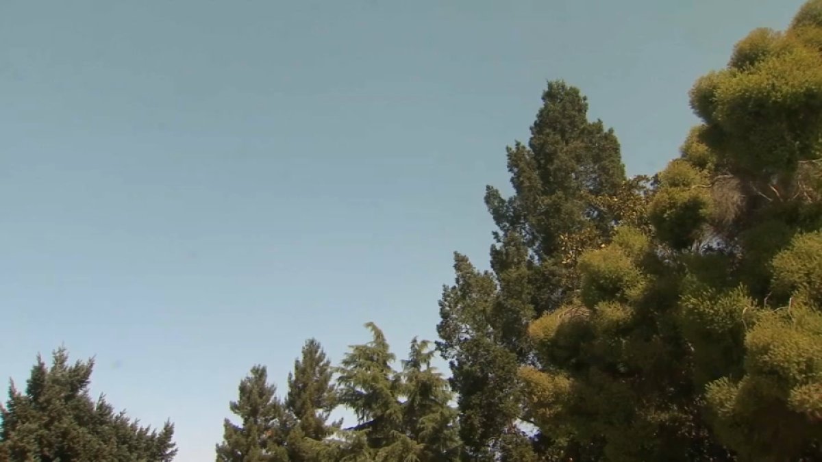 Hey, Bay Area: Breathe in the Fresh Air Now Because More Smoke May Be ...