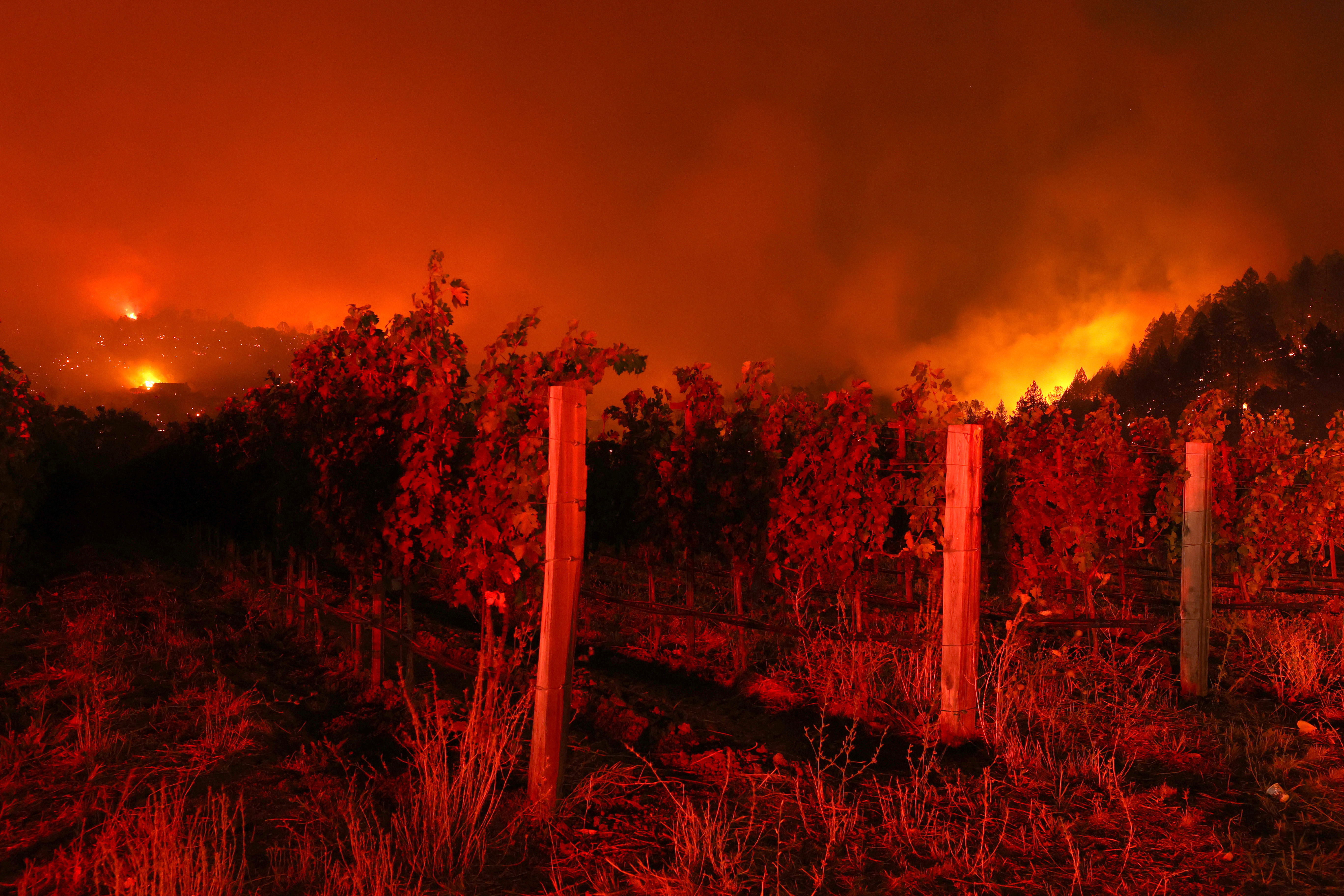 PHOTOS: Napa, Sonoma County Residents Wake Up to Fires – NBC Bay Area