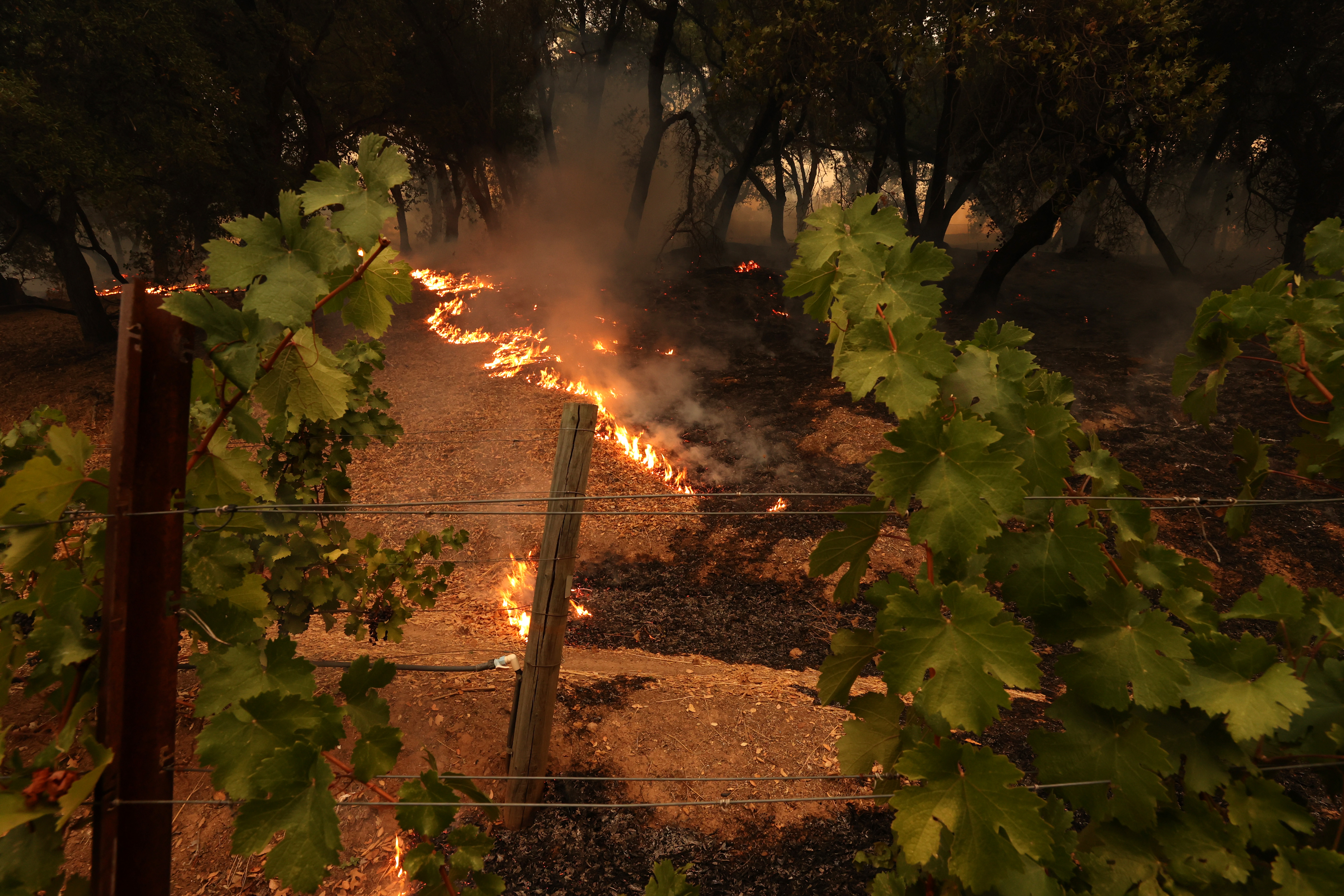 PHOTOS: Napa, Sonoma County Residents Wake Up to Fires – NBC Bay Area