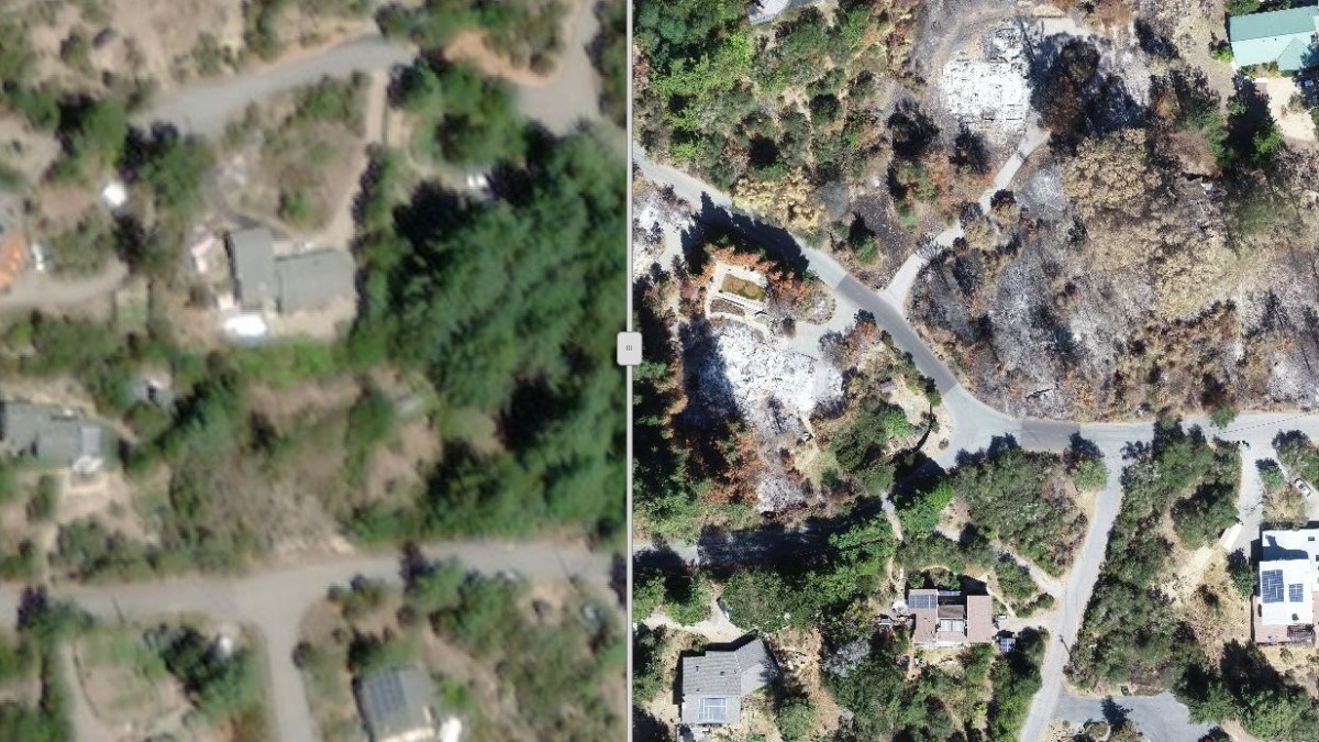 Drone Images Show Before and After Aerial Views of CZU Lightning ...
