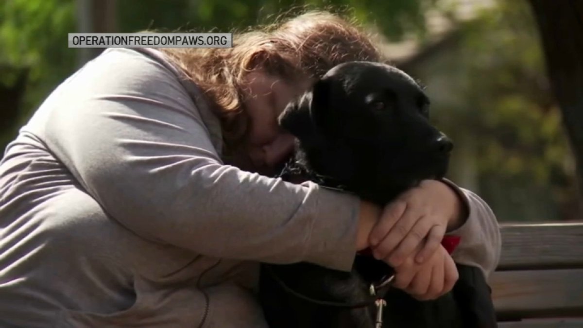 Operation Freedom Paws Helps Veterans Train Their Own Service Dogs ...
