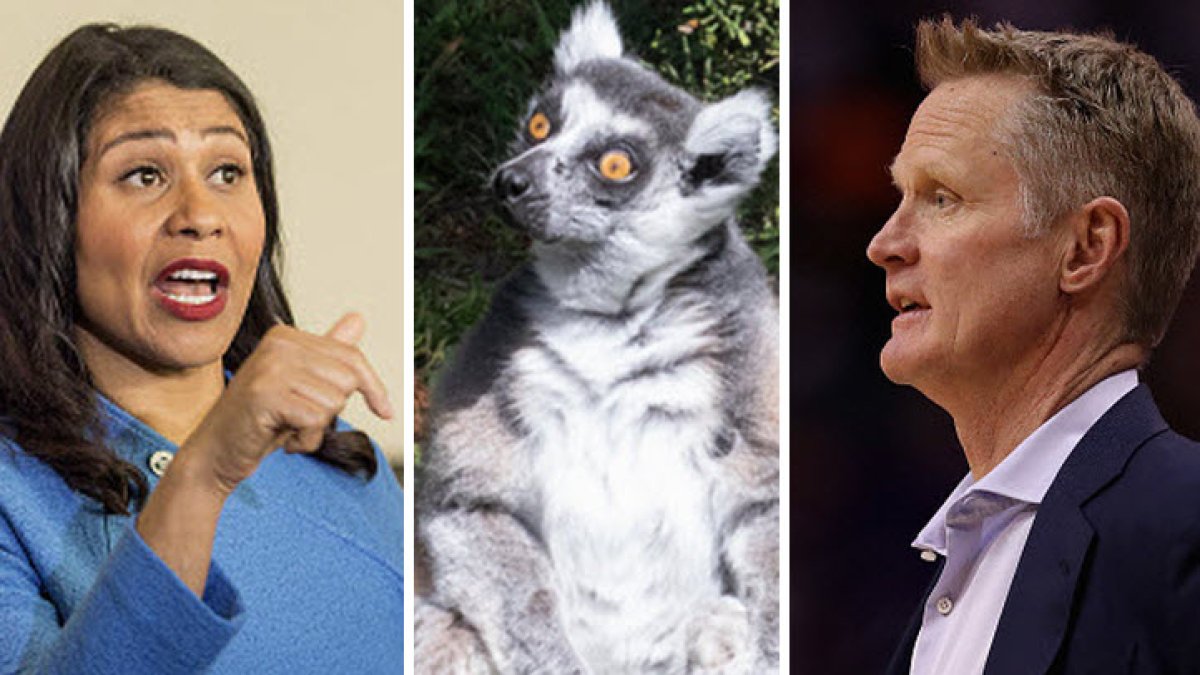 2020 in Words: Most Notable Quotes from Bay Area Newsmakers – NBC Bay Area