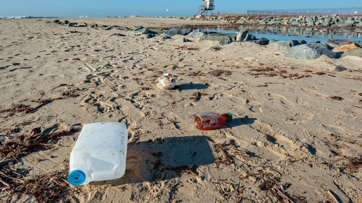 Efforts to Clean California Beaches Hampered by Stay-at-Home Orders ...