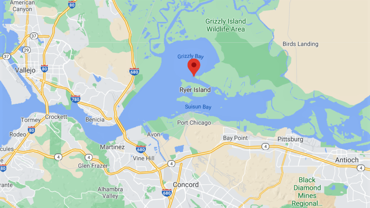 Bay Area Island’s Owner Fined $2.8M for Illegal Levee Repair – NBC Bay Area