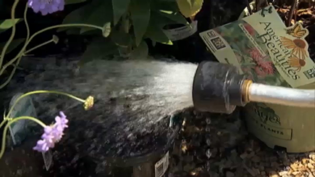 Marin Water District to Vote on Restrictions, Fines as Drought ...