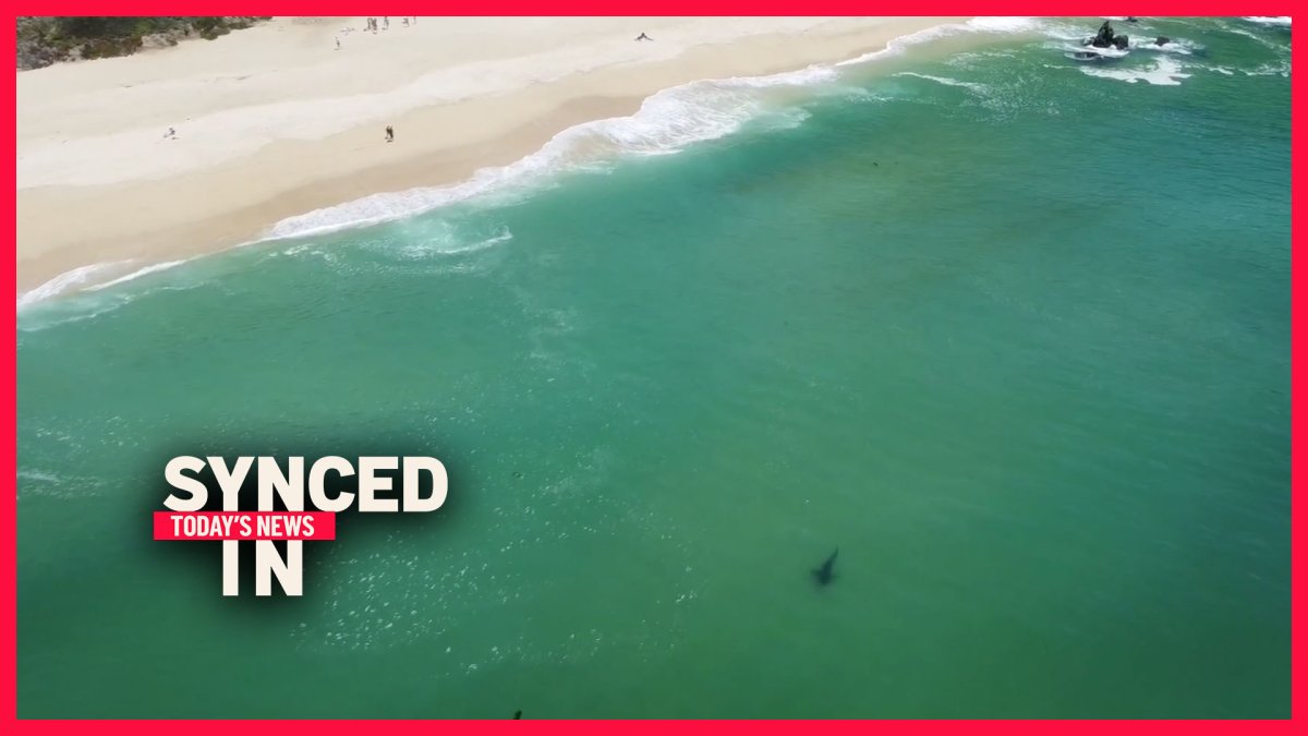 Synced In: Surfer Bitten by Shark, Fireworks Sales Despite Warnings ...