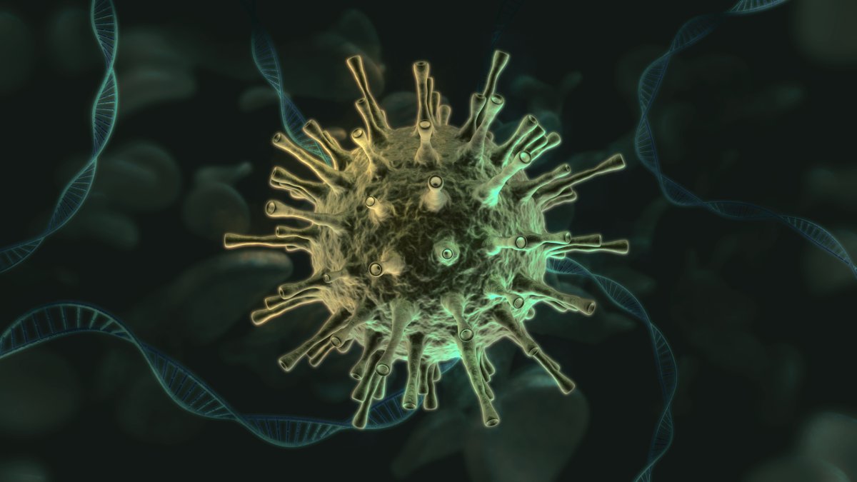 How to Spot New COVID Delta Variant Symptoms – NBC Bay Area