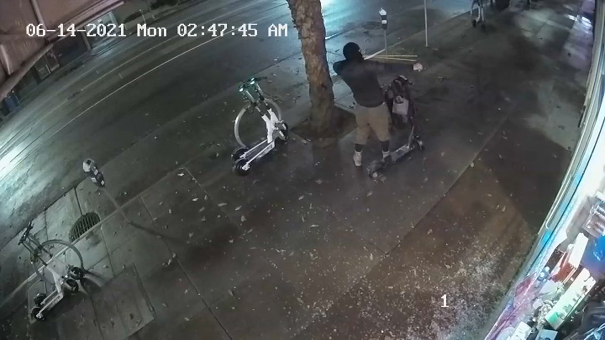 Slingshot-Wielding Vandal Shatters Windows at San Francisco Businesses ...