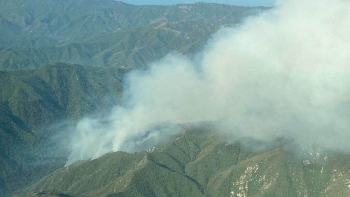 Willow Fire Now At 2,066 Acres, Holding Within Perimeter – NBC Bay Area