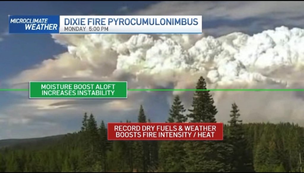 Climate Discussion: Forecasting Wildfire Intensity – NBC Bay Area