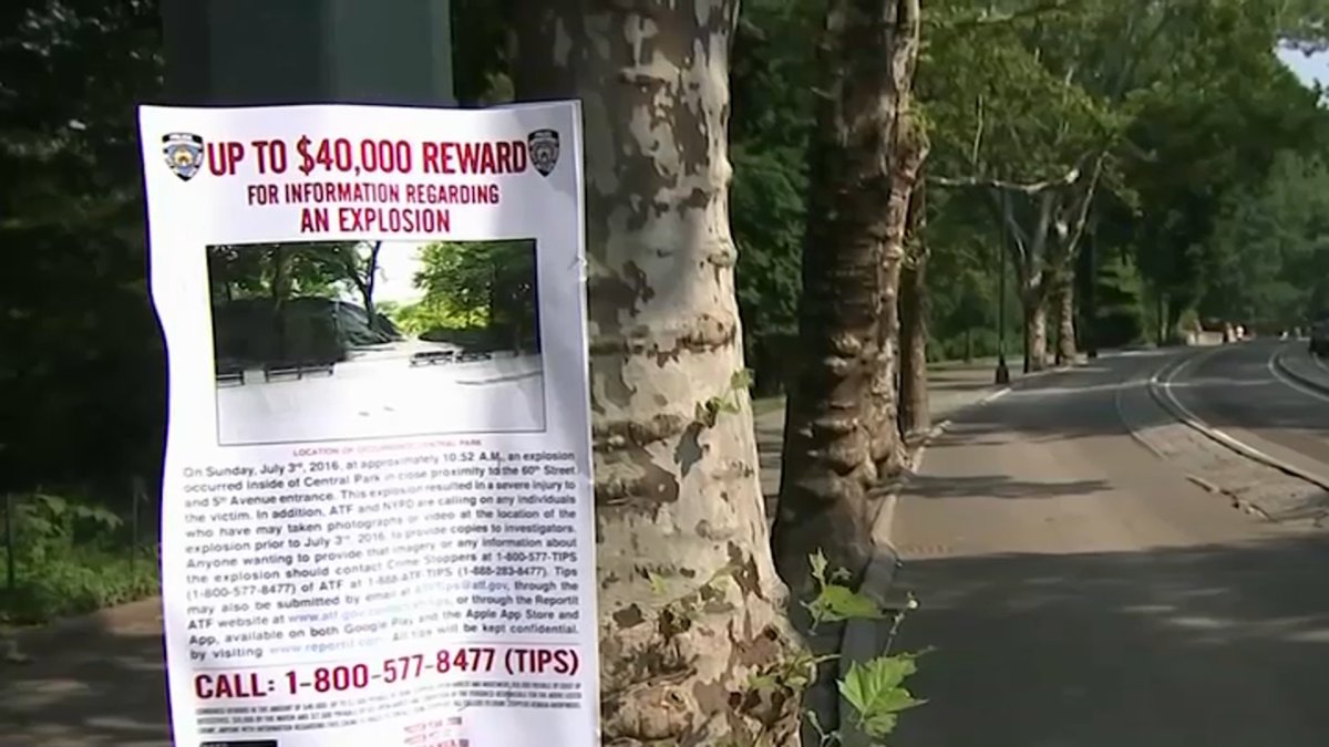 Central Park Bombing Still Unsolved, Five Years Later: ‘This Came From ...