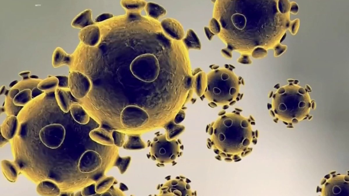 ‘Beds are Filling Up’: Delta Variant Drives COVID-19 Cases Higher and ...