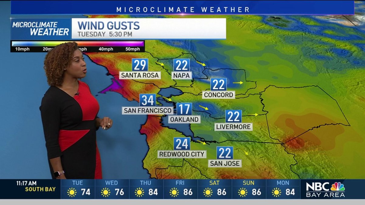 Kari’s Forecast: Mild and Breezy Tuesday – NBC Bay Area