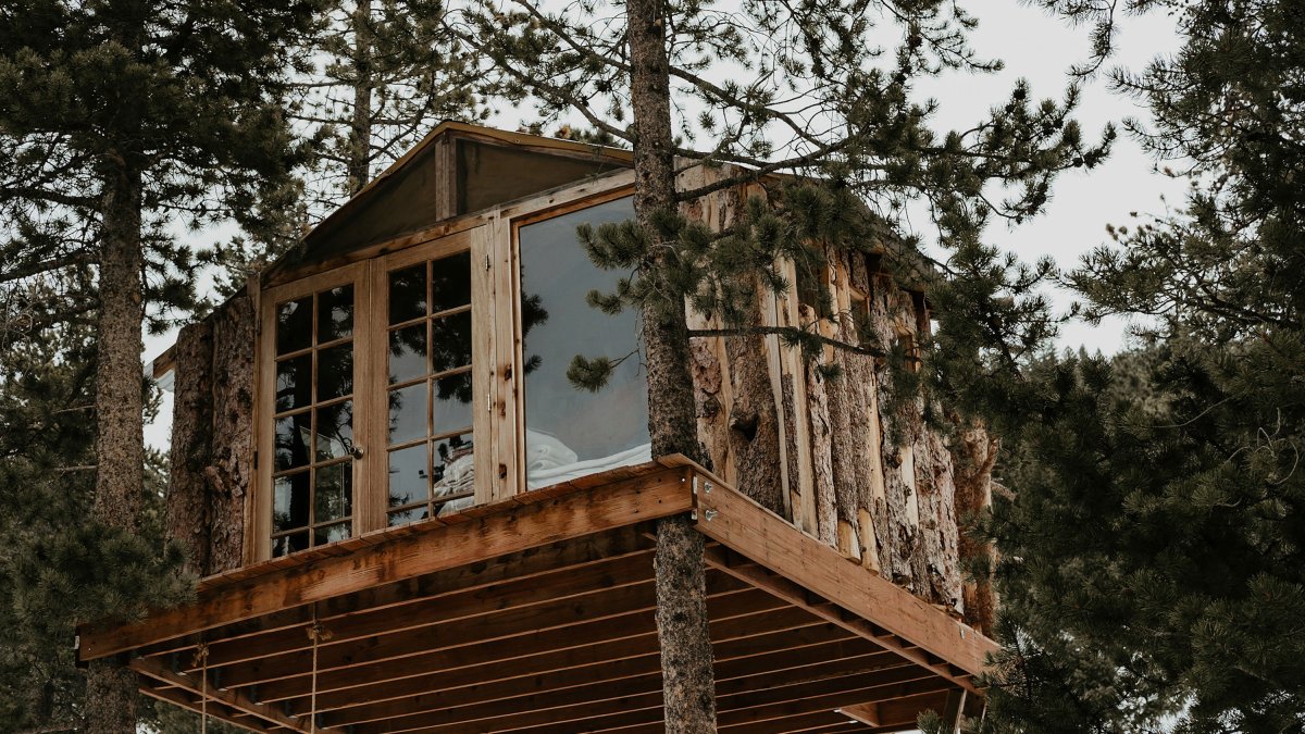 Nature Meets Nostalgia: Treehouses Return in Style – NBC Bay Area