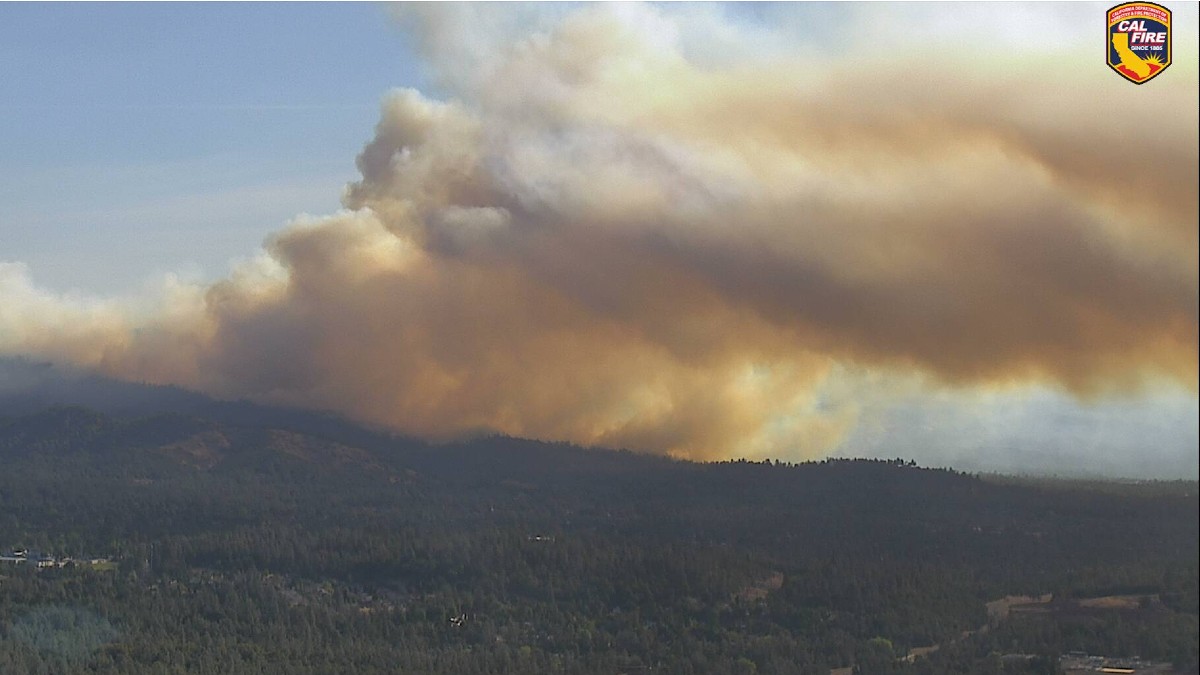 Palo Alto Woman Arrested for Allegedly Starting Fawn Fire in Shasta ...