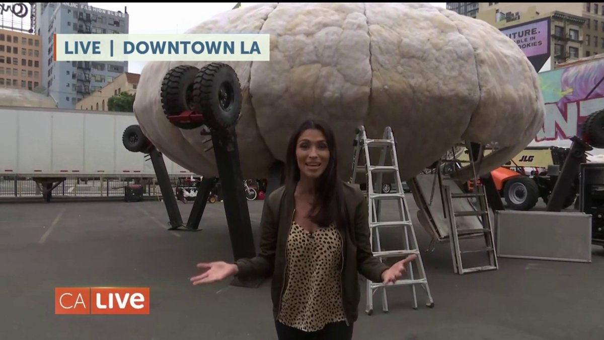 The Fluffy Cloud that’s Revolutionizing the Concert Experience – NBC ...