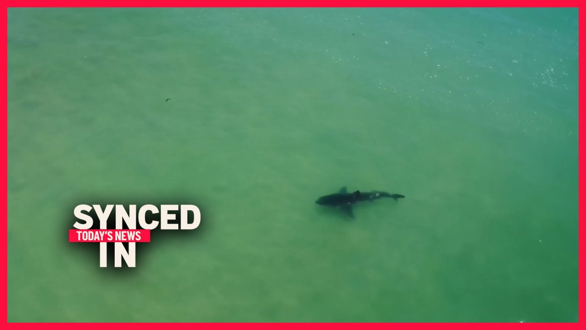 Synced In: Surfer Describes Shark Attack, Dropping the Mask Mandate ...
