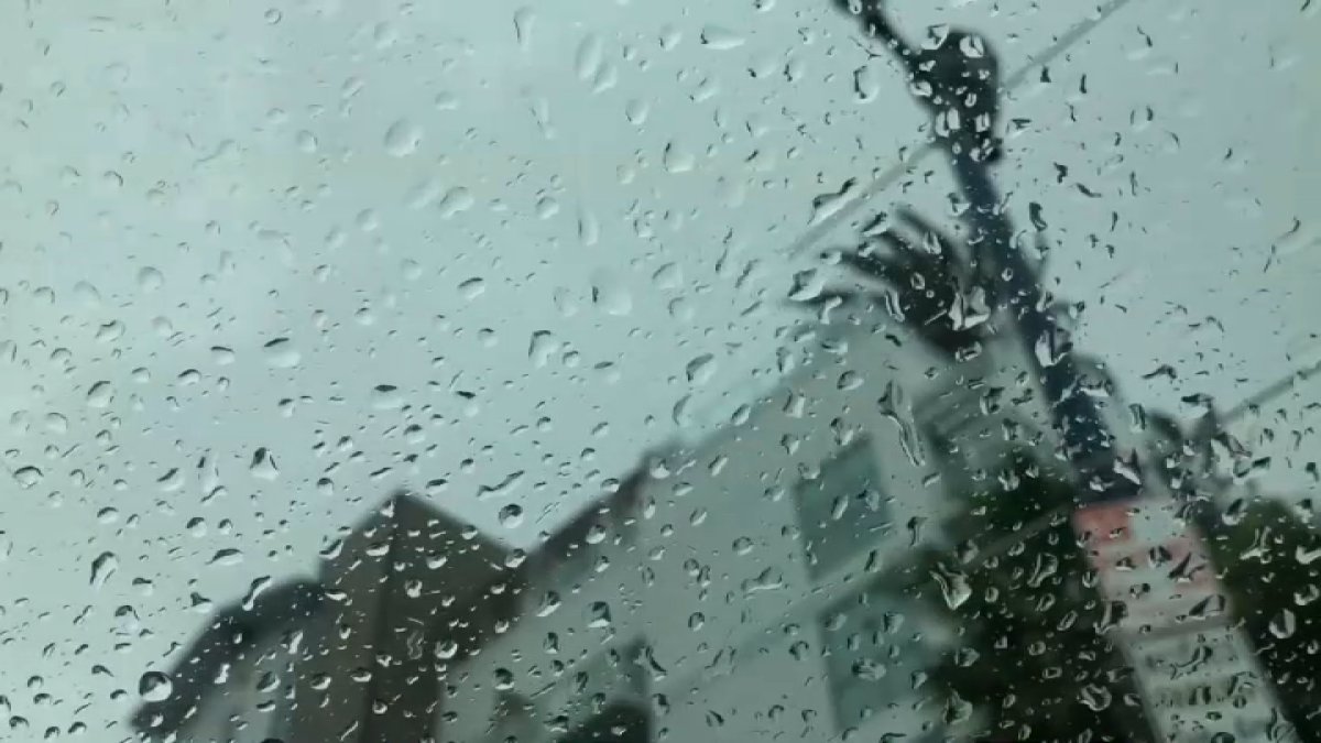 Light to Moderate Rain to Shower Bay Area – NBC Bay Area