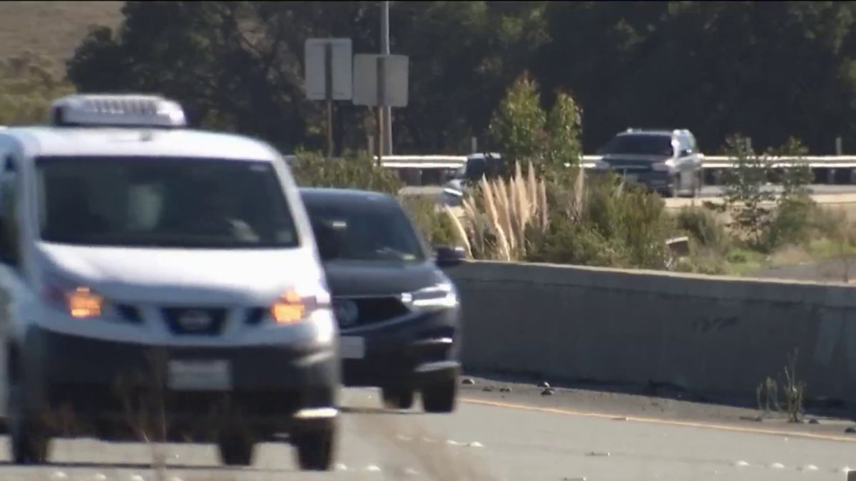 Roadkill Report Sheds Light on Dangerous Highways for Animals – NBC Bay ...