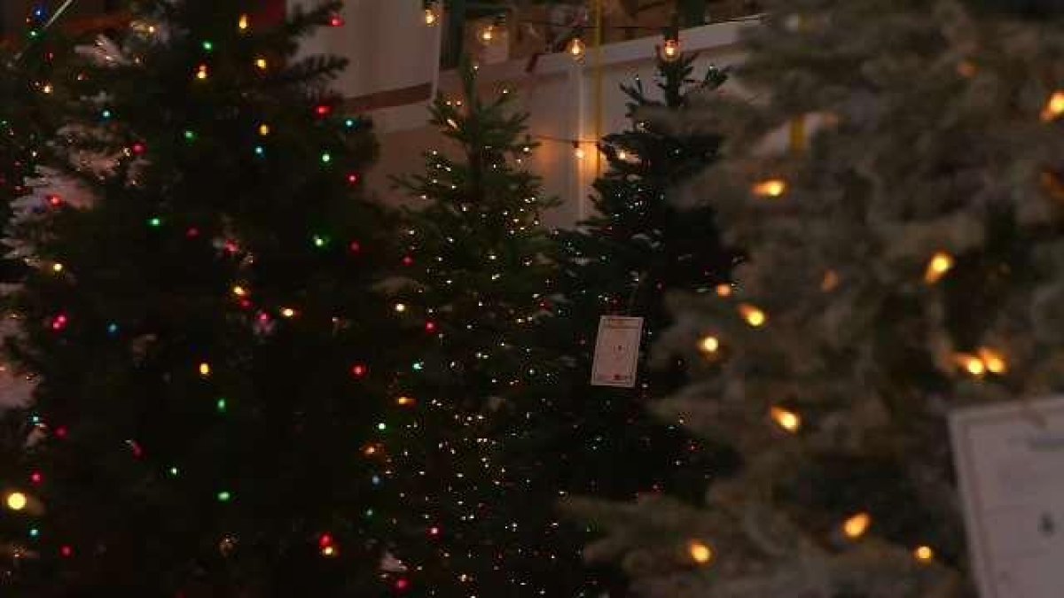 Mac Harman Tries to Save Christmas – Again – NBC Bay Area