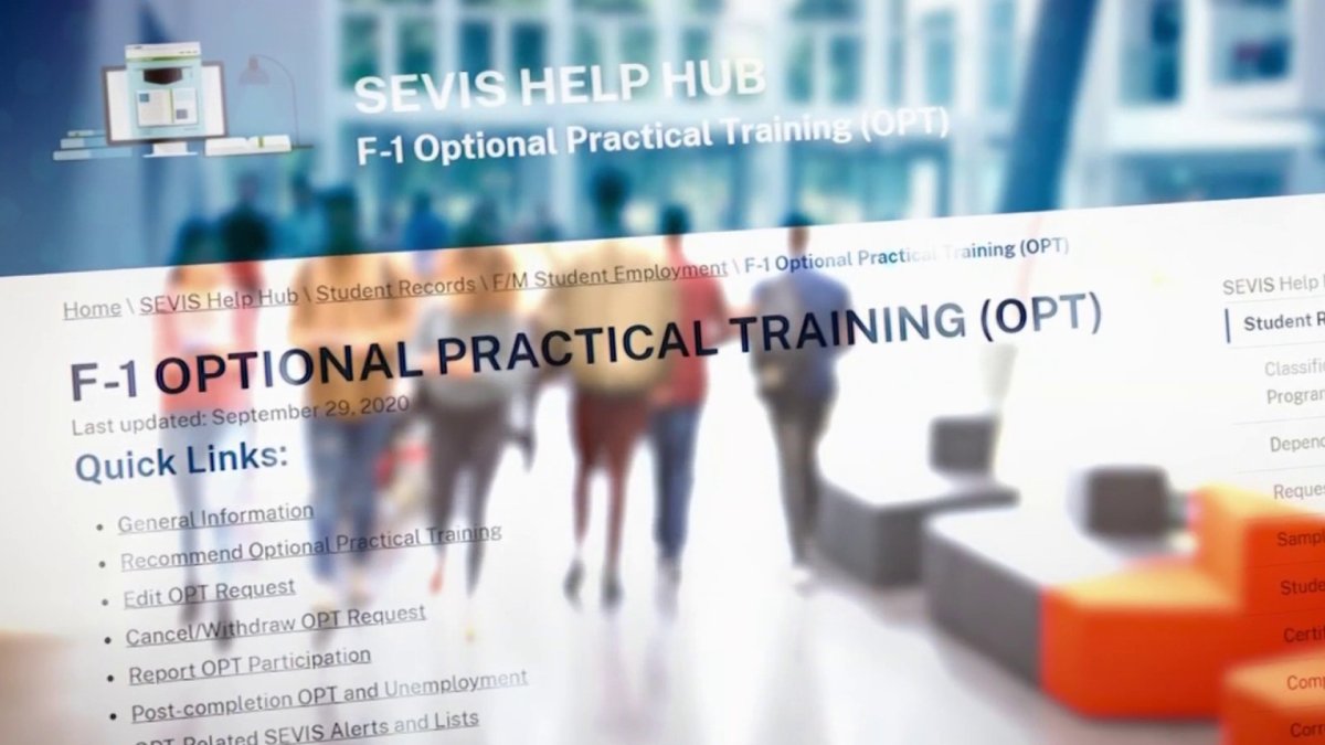 Shell Companies Sell Job Letters to Foreign Students, ICE Keeping New ...