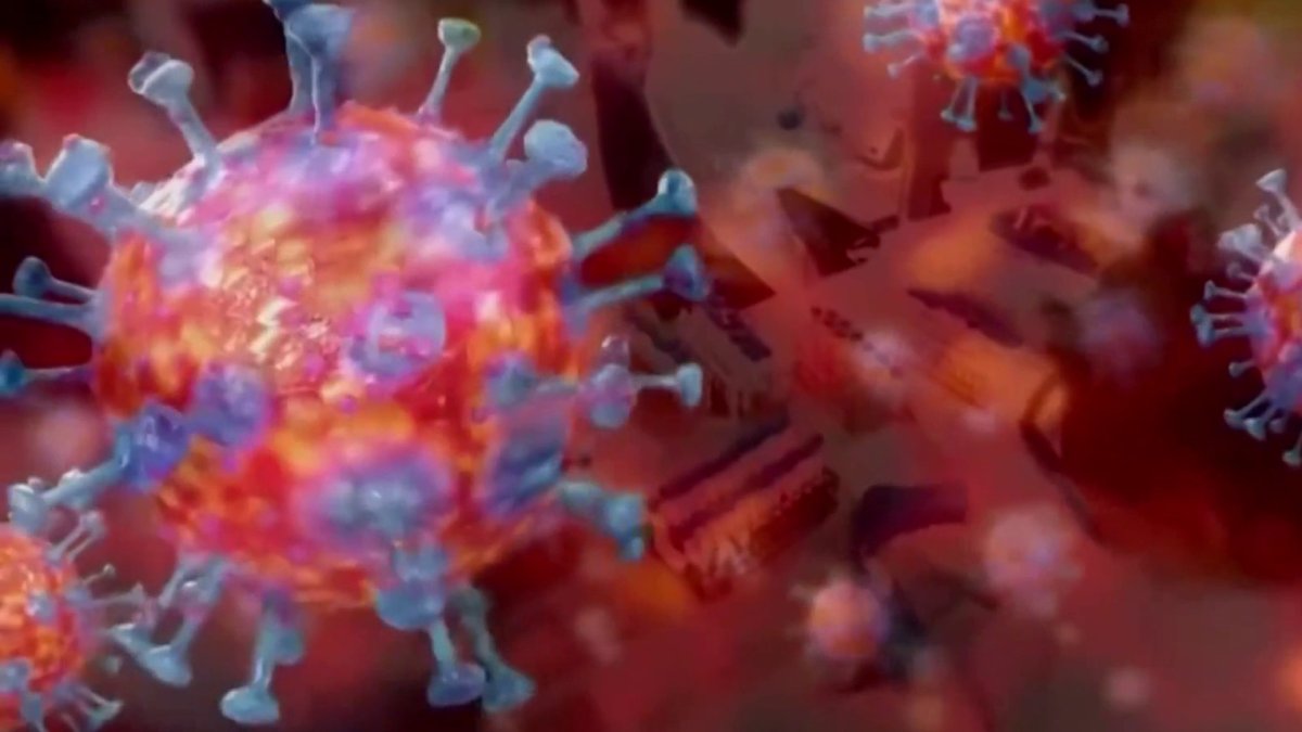 Omicron Variant Appears to Be Less Severe Than Others: Studies – NBC ...