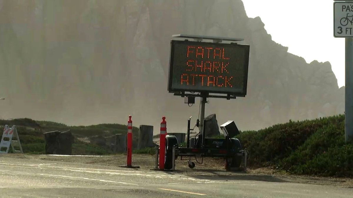 Surfer Killed In Shark Attack At Morro Bay Beach Nbc Bay Area