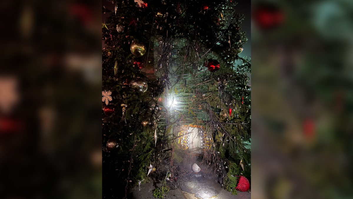 Jack London Square Christmas Tree Set on Fire: Oakland Fire Department ...