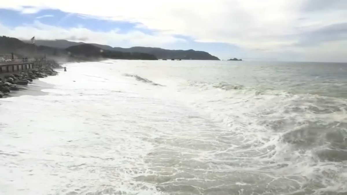 Study Finds Marine Warming is Damaging Ecosystems – NBC Bay Area