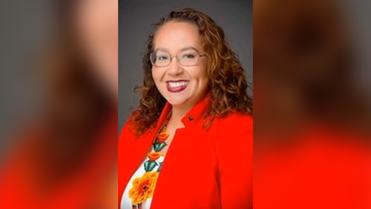 Gilroy Councilwoman Rebecca Armendariz Hit With Citations – NBC Bay Area