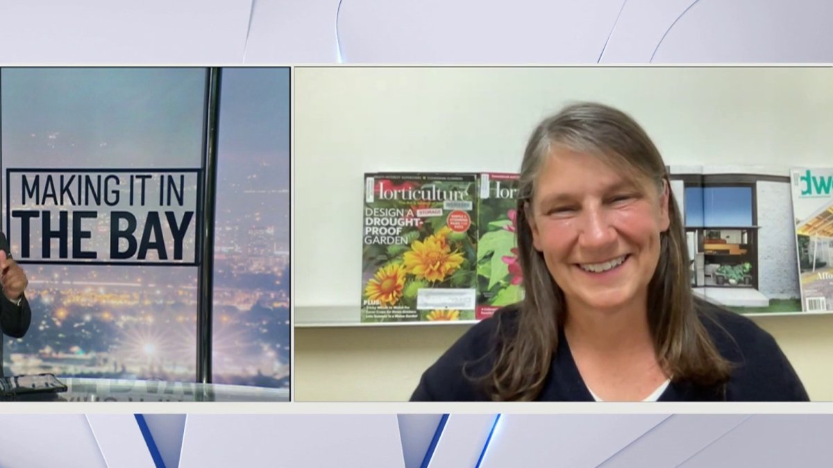 Making it In the Bay: Age-In-Place Initiative – NBC Bay Area