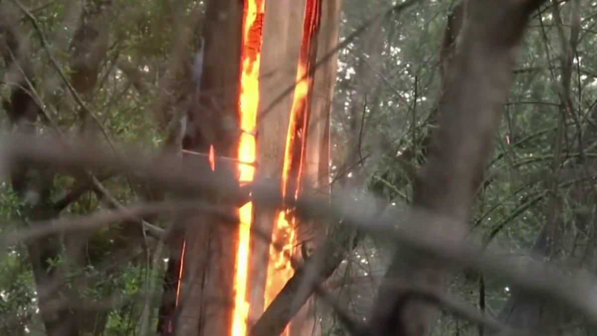Lightning Strike Sparks Tree Fire in Sonoma County, Hail Stops It From ...
