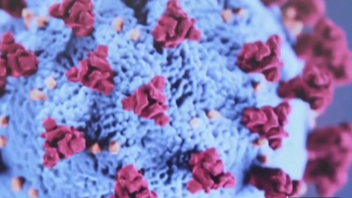 COVID Subvariants Discovered as Summer Nears – NBC Bay Area